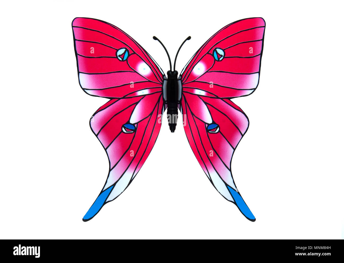 Beautiful colored butterfly isolated over white Stock Photo - Alamy