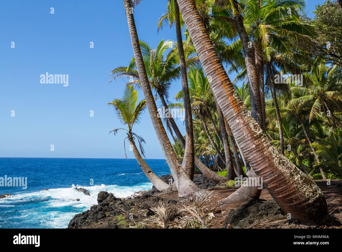 Amazing hawaiian beach Stock Photo - Alamy