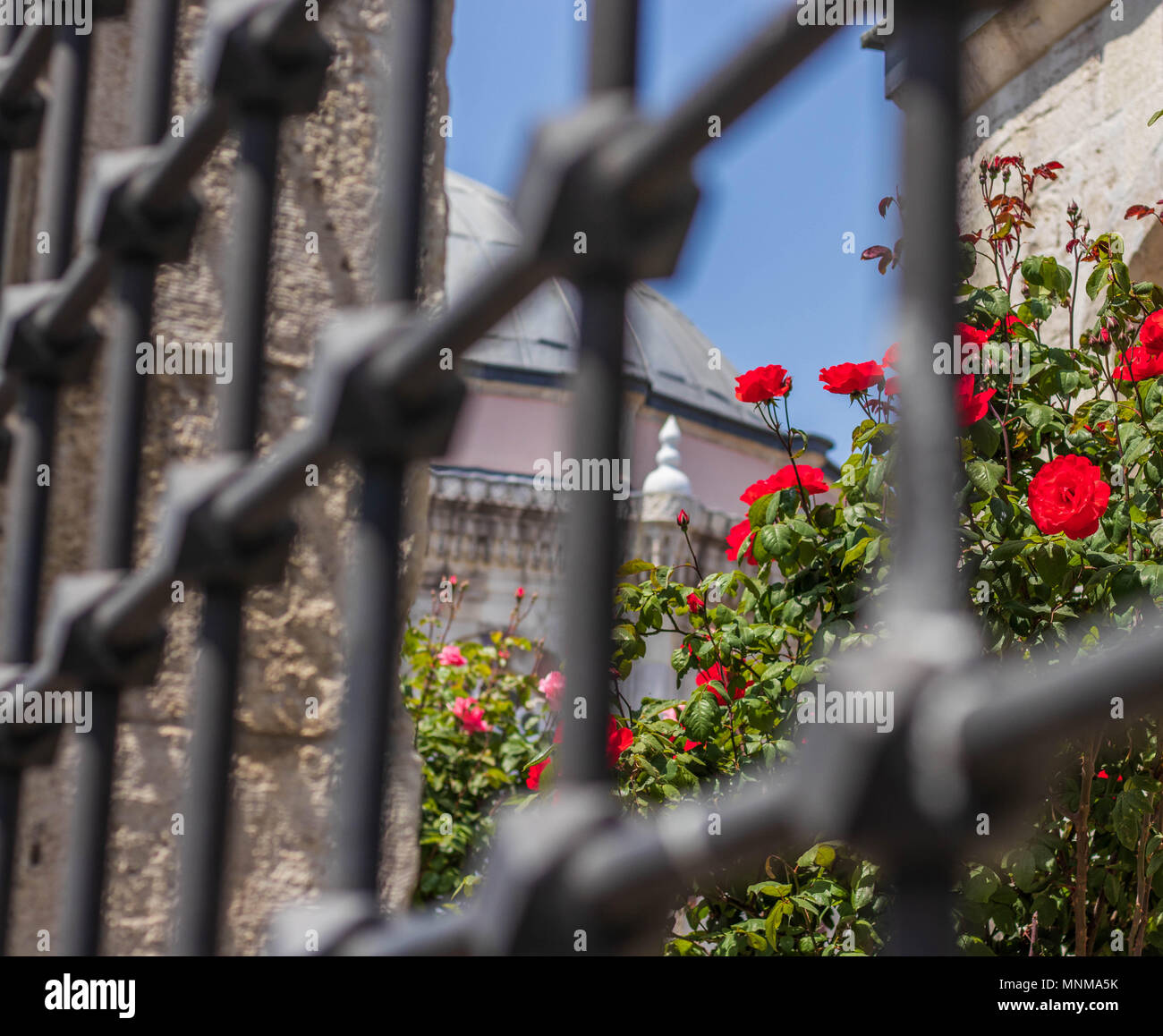 Tall wals hi-res stock photography and images - Alamy