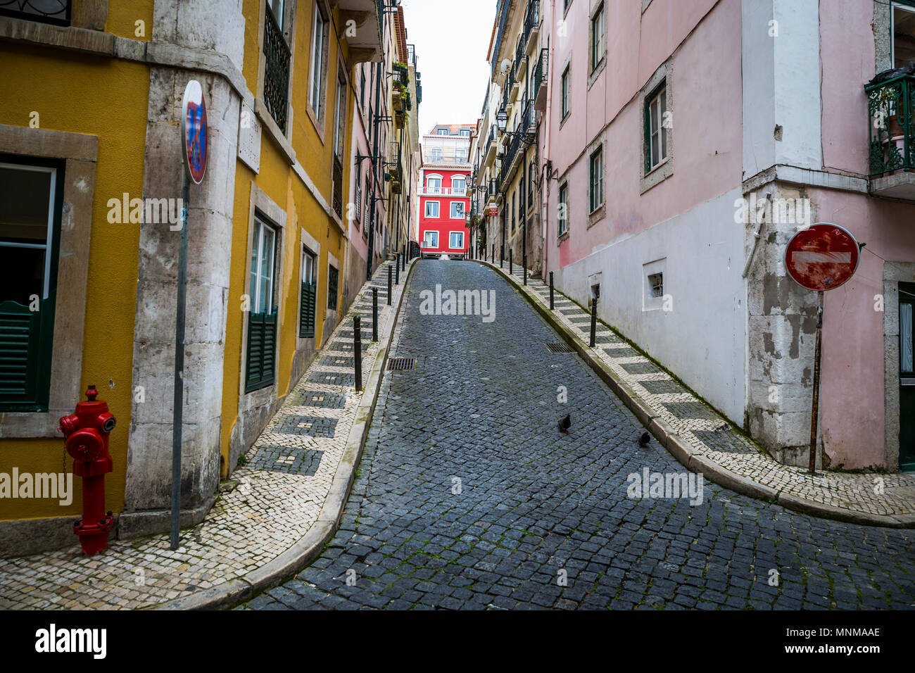 Chiado fire lisbon portugal hi-res stock photography and images - Alamy