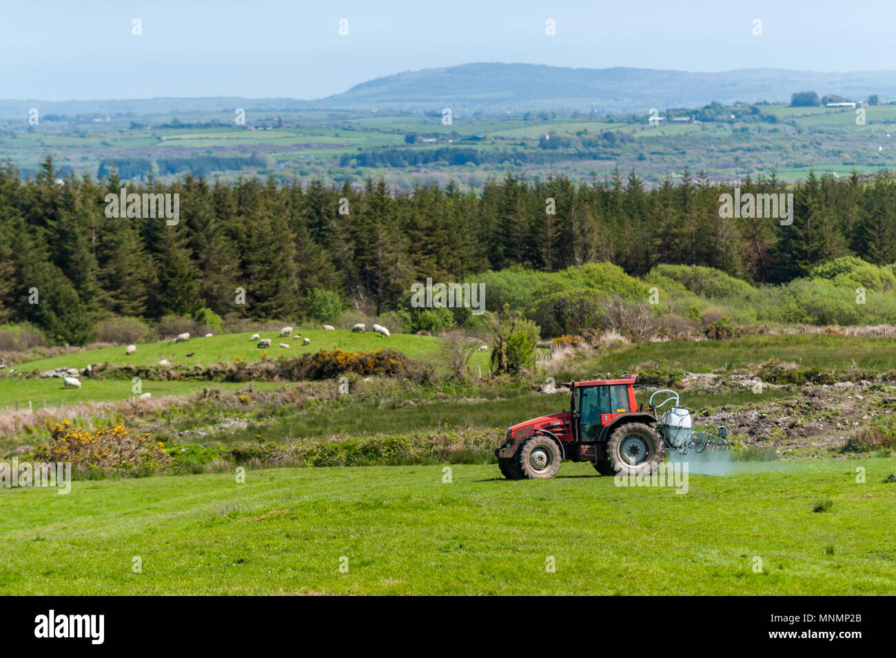 Ballydehob, Ireland. 18th May, 2018. On a hot and sunny day, a Durrus ...