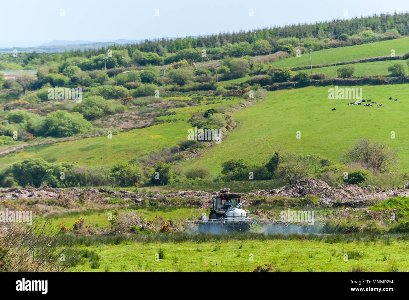 Ballydehob, Ireland. 18th May, 2018. On a hot and sunny day, a Durrus ...
