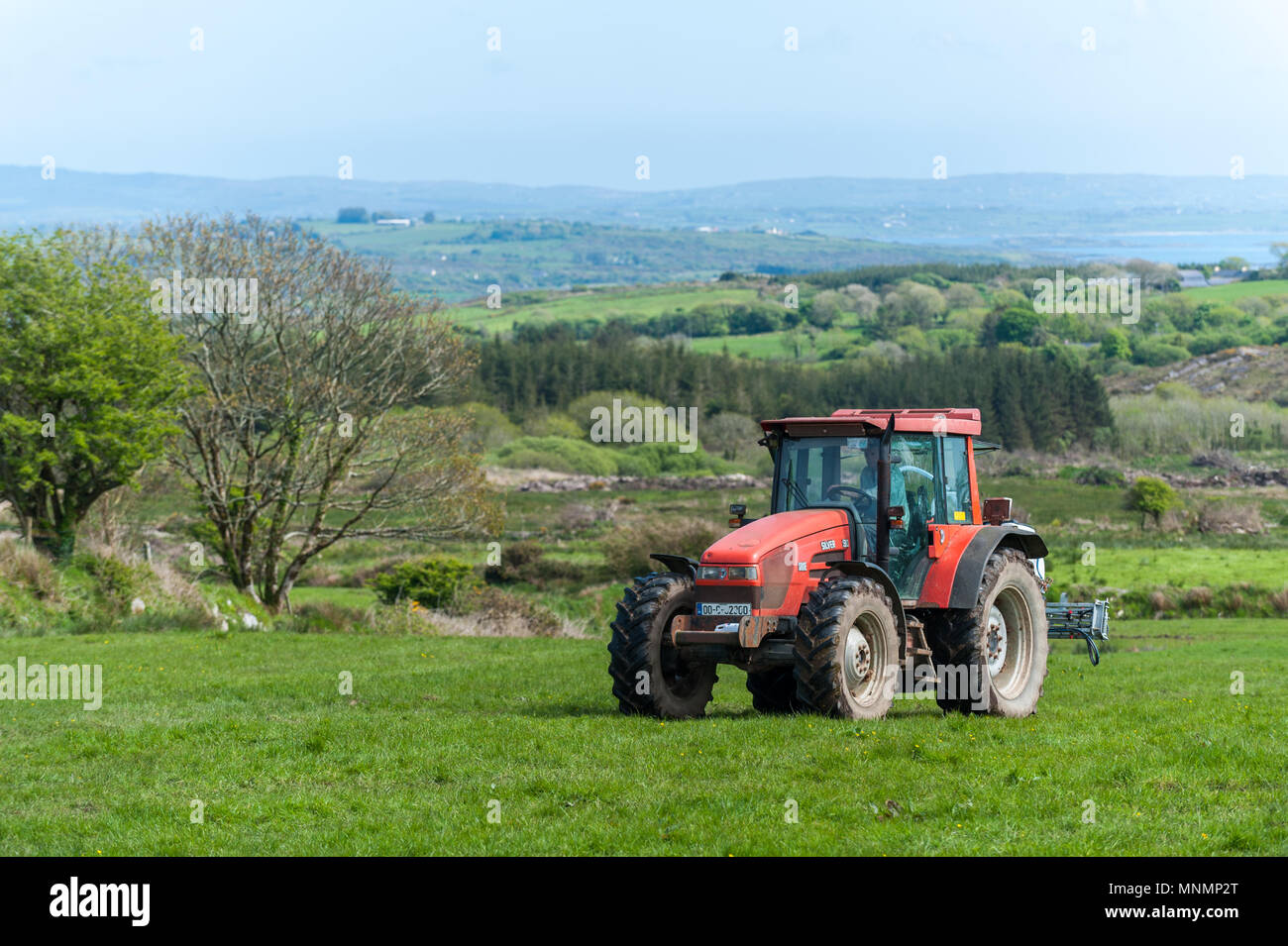 Ballydehob, Ireland. 18th May, 2018. On a hot and sunny day, a Durrus ...