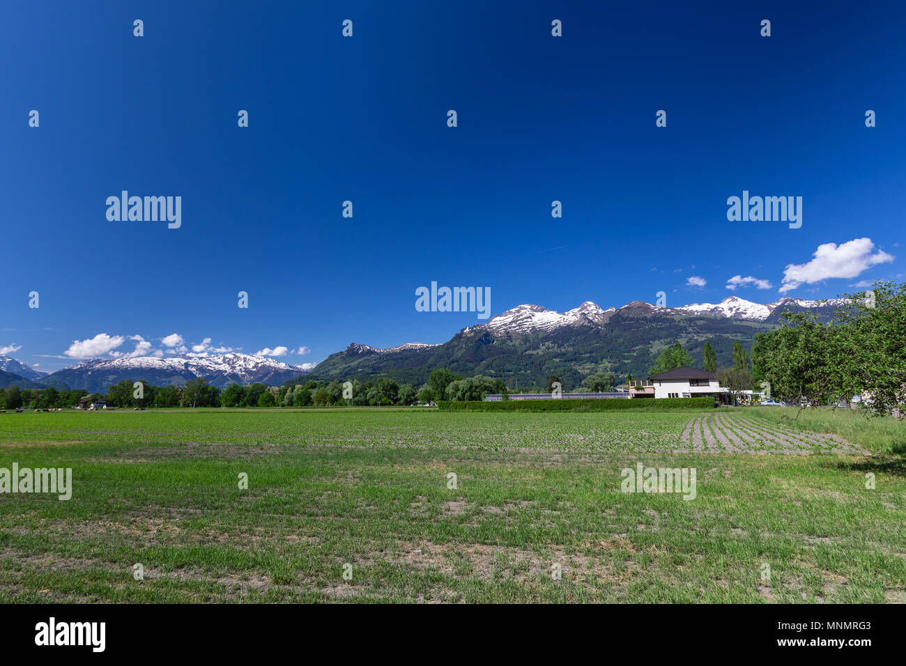 View of the green field and mountains of the Alps in Liechtenstein ...