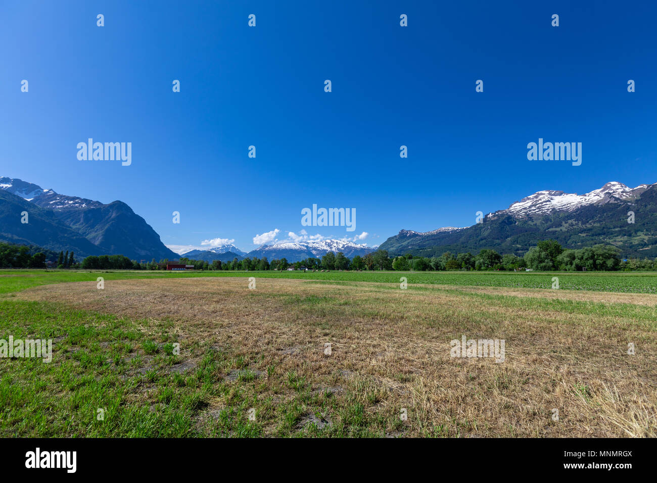 View of the green field and mountains of the Alps in Liechtenstein ...