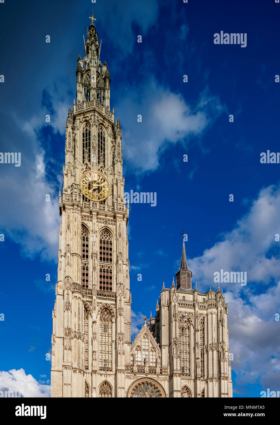 Belgian cathedral hi-res stock photography and images - Alamy