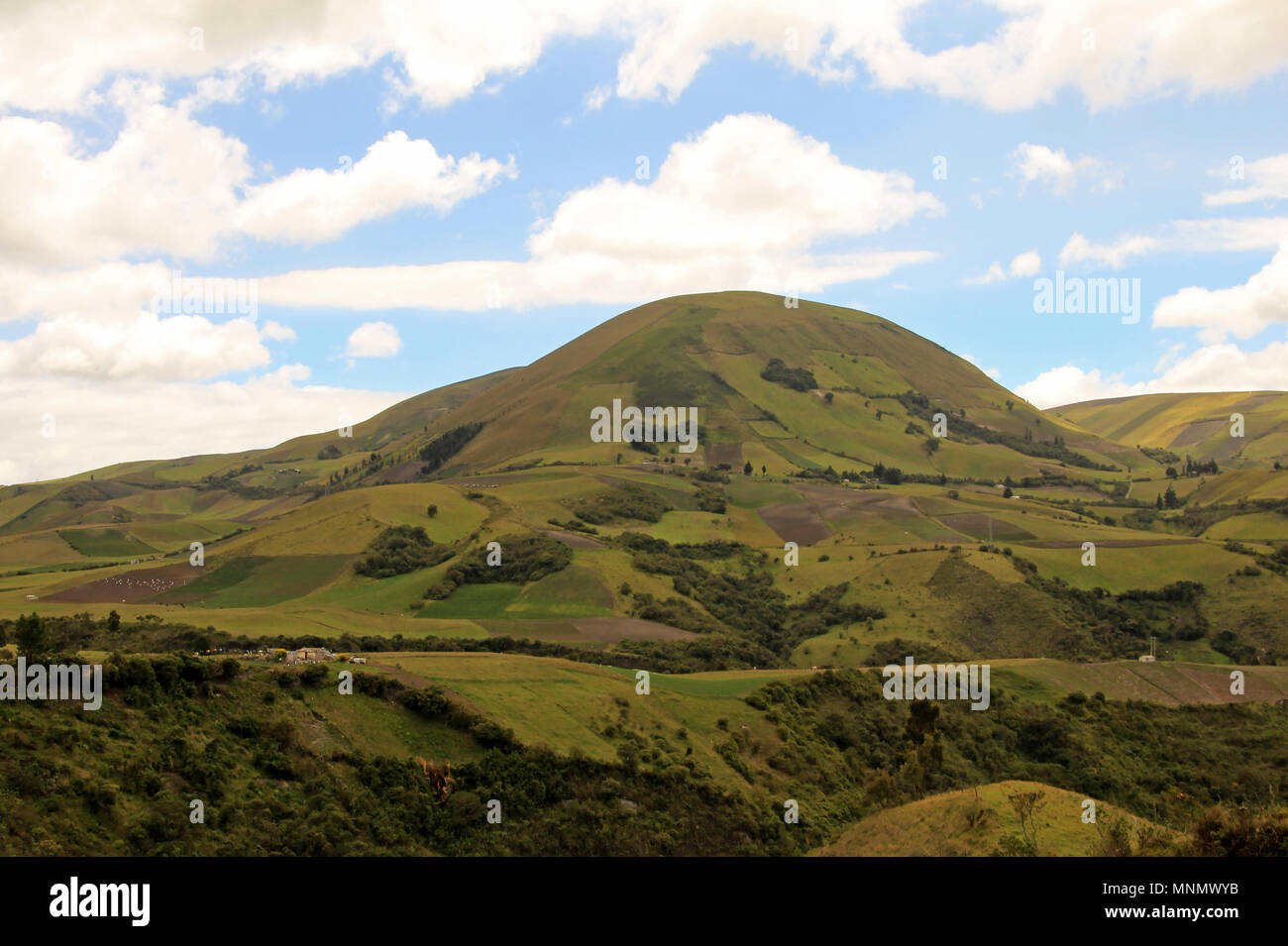 Agriculture and high altitude farming in ecuadorian andes, Ecuador ...