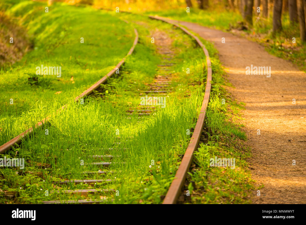 rails out of order overgrown with green grass Stock Photo - Alamy
