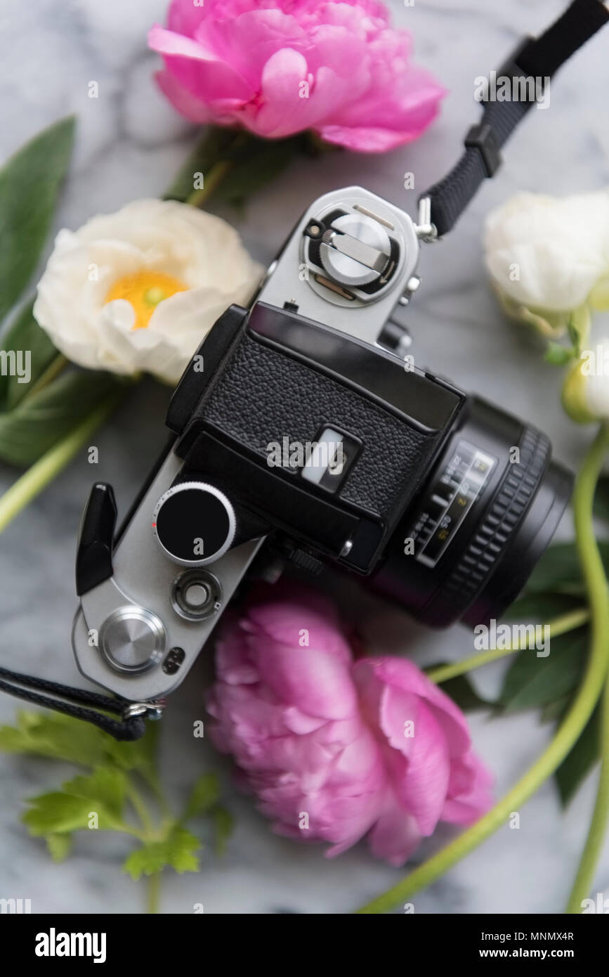 Camera and flowers Stock Photo - Alamy