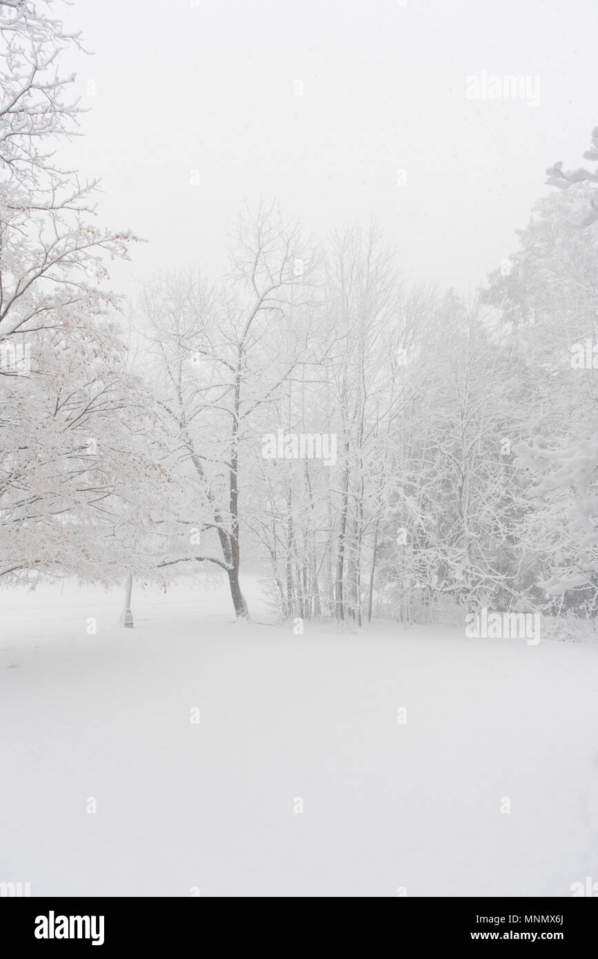 USA, New Jersey, Montclair, Landscape in winter Stock Photo - Alamy
