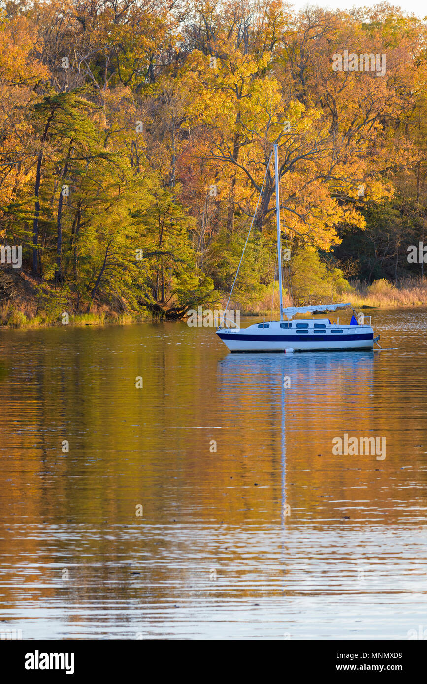 Annapolis Maryland Fall High Resolution Stock Photography and Images ...