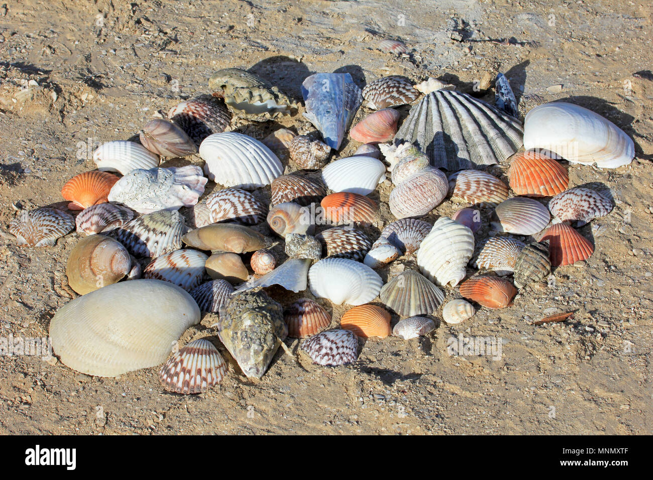 Bajacalifornia hi-res stock photography and images - Alamy