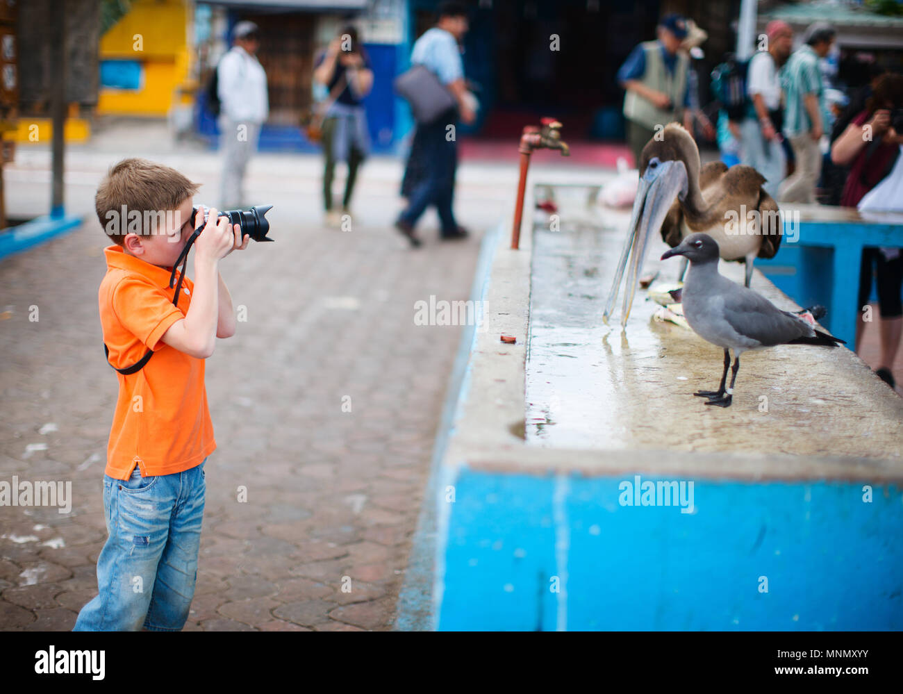 Cute little boy photographing at seafood market Stock Photo - Alamy