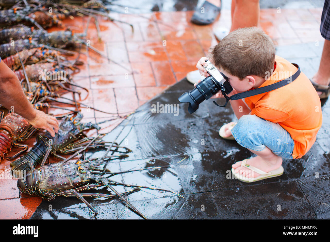 Cute little boy photographing at seafood market Stock Photo - Alamy