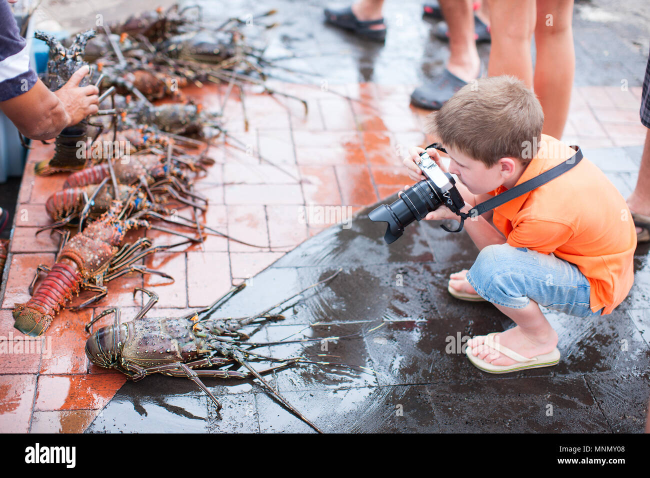 Cute little boy photographing at seafood market Stock Photo - Alamy
