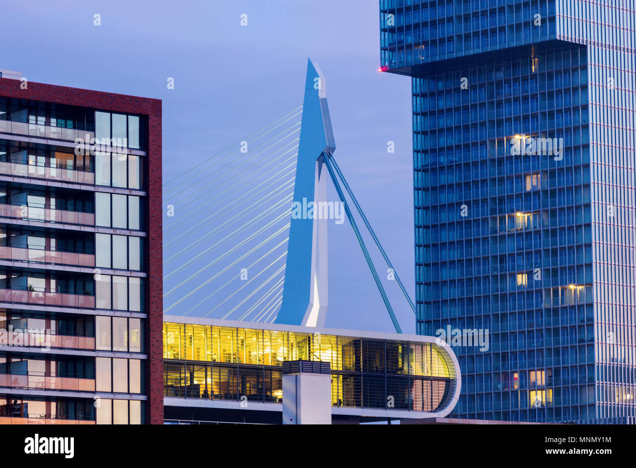 Netherlands, Rotterdam, Modern building with bridge in background Stock ...
