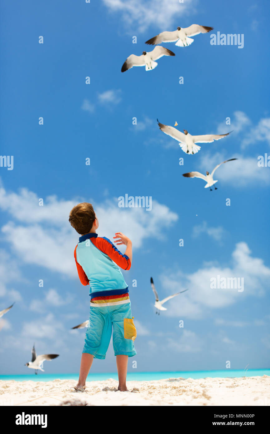 Kid Beach Seagulls High Resolution Stock Photography and Images - Alamy
