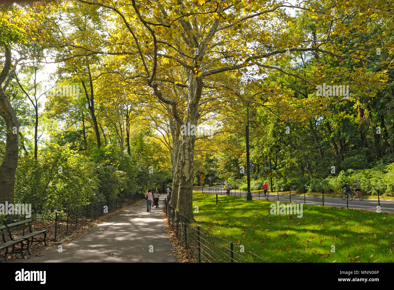 North America; USA; East Coast, American; New York; Manhattan; Central ...