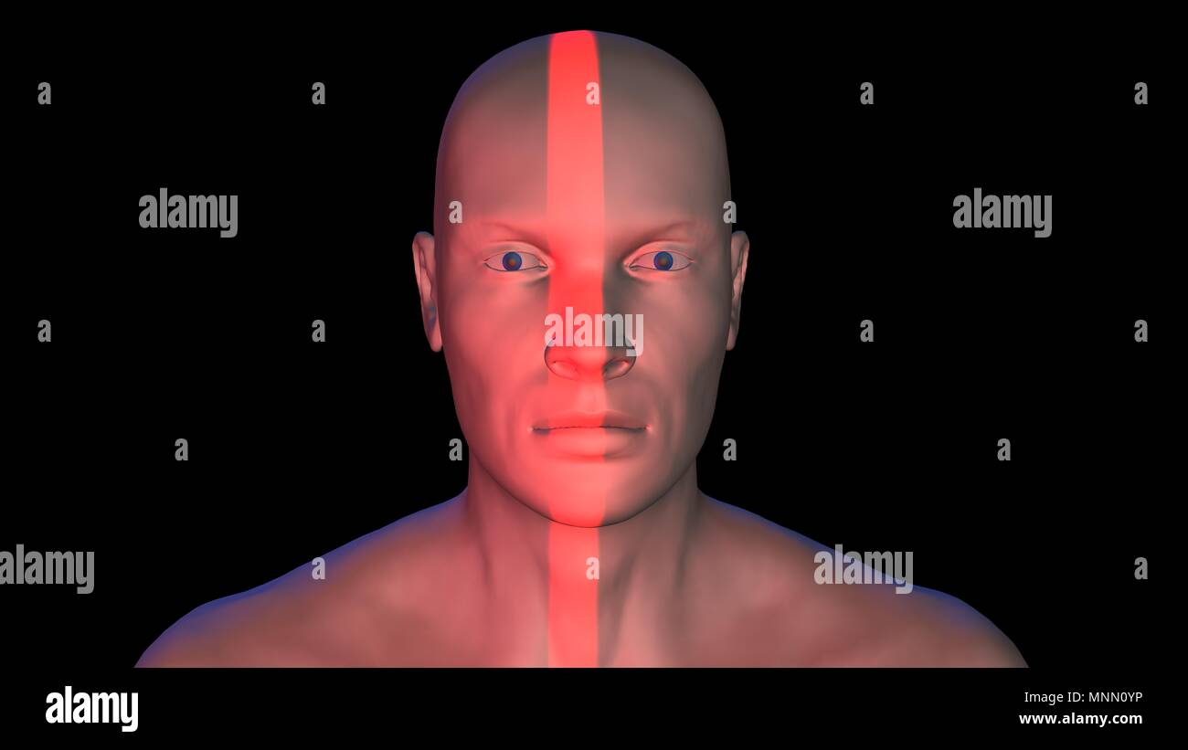 Animation digital face recognition data hi-res stock photography and ...