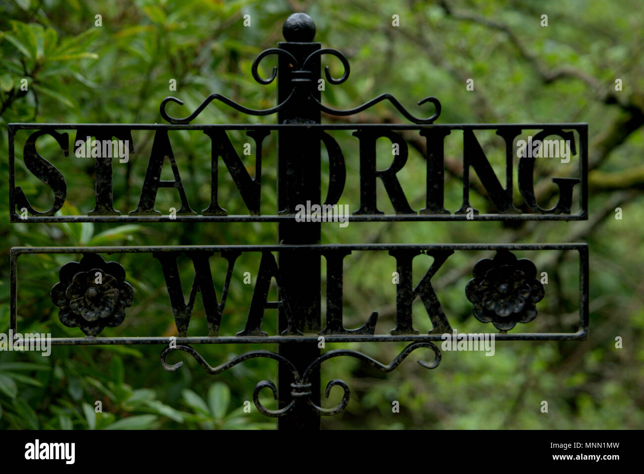 Standring hi-res stock photography and images - Alamy