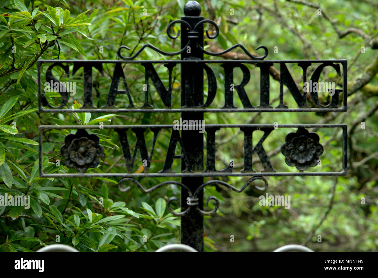 Standring hi-res stock photography and images - Alamy