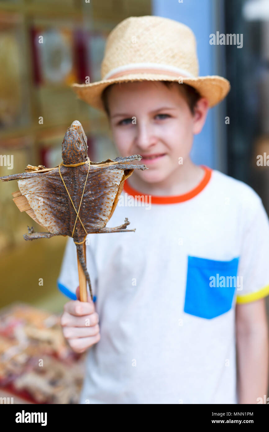 Lizard On Stick High Resolution Stock Photography and Images - Alamy