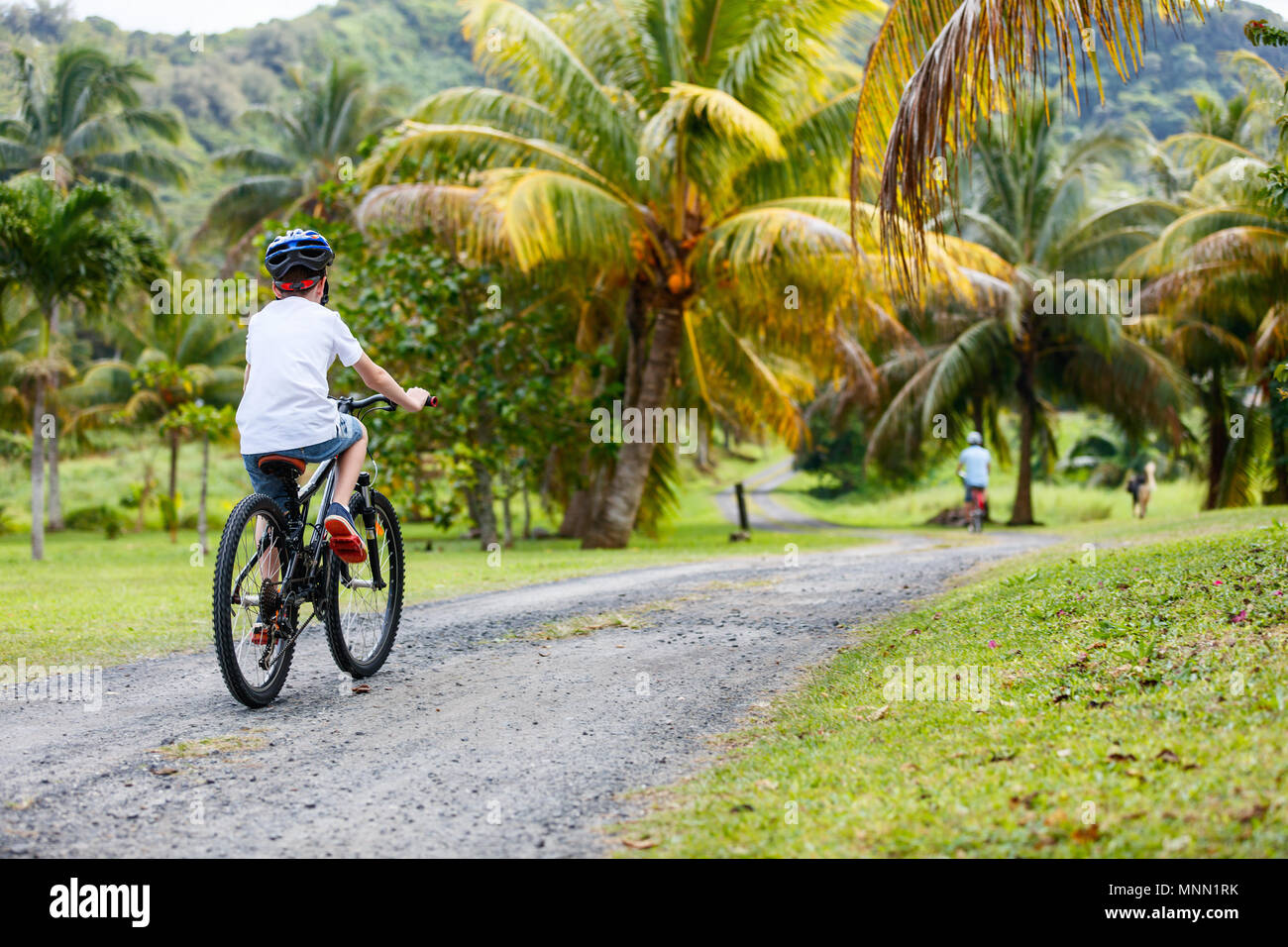 back view of teenager boy biking at tropical settings having fun Stock ...