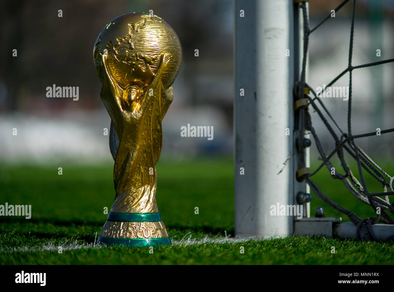 Qatar world cup stadium grass hi-res stock photography and images - Alamy