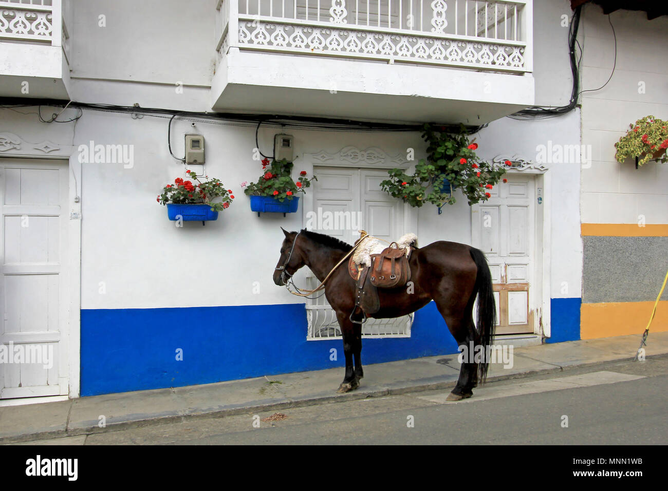 Colonial spanish horses hi-res stock photography and images - Alamy