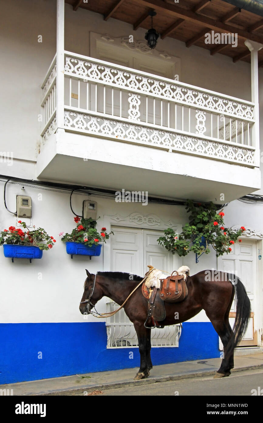 Colonial spanish horses hi-res stock photography and images - Alamy