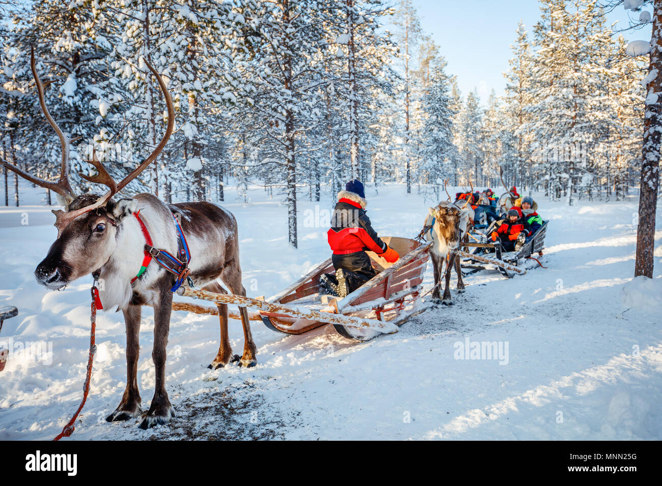 Reindeer sleigh family hi-res stock photography and images - Alamy