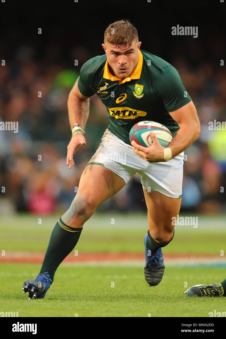 CAPE TOWN, SOUTH AFRICA - Saturday 7 October 2017, Malcolm Marx of ...