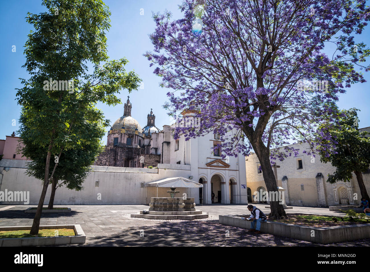 Atrium with jacaranda tree and main entrance to Temple of Carmen de San ...