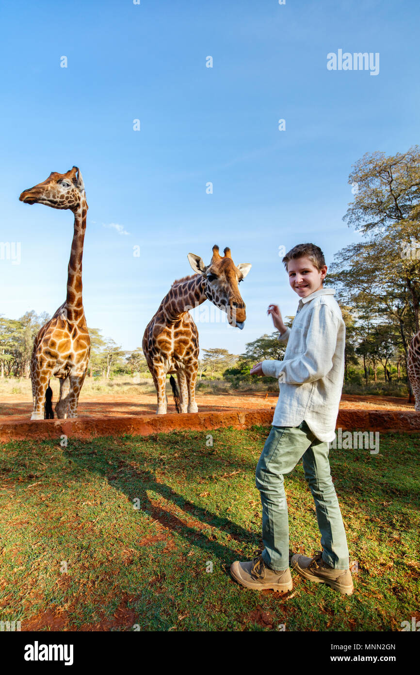 Young teenage boy feeding giraffes in Africa Stock Photo - Alamy