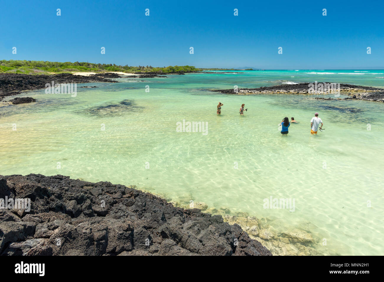 El garrapatero hi-res stock photography and images - Alamy