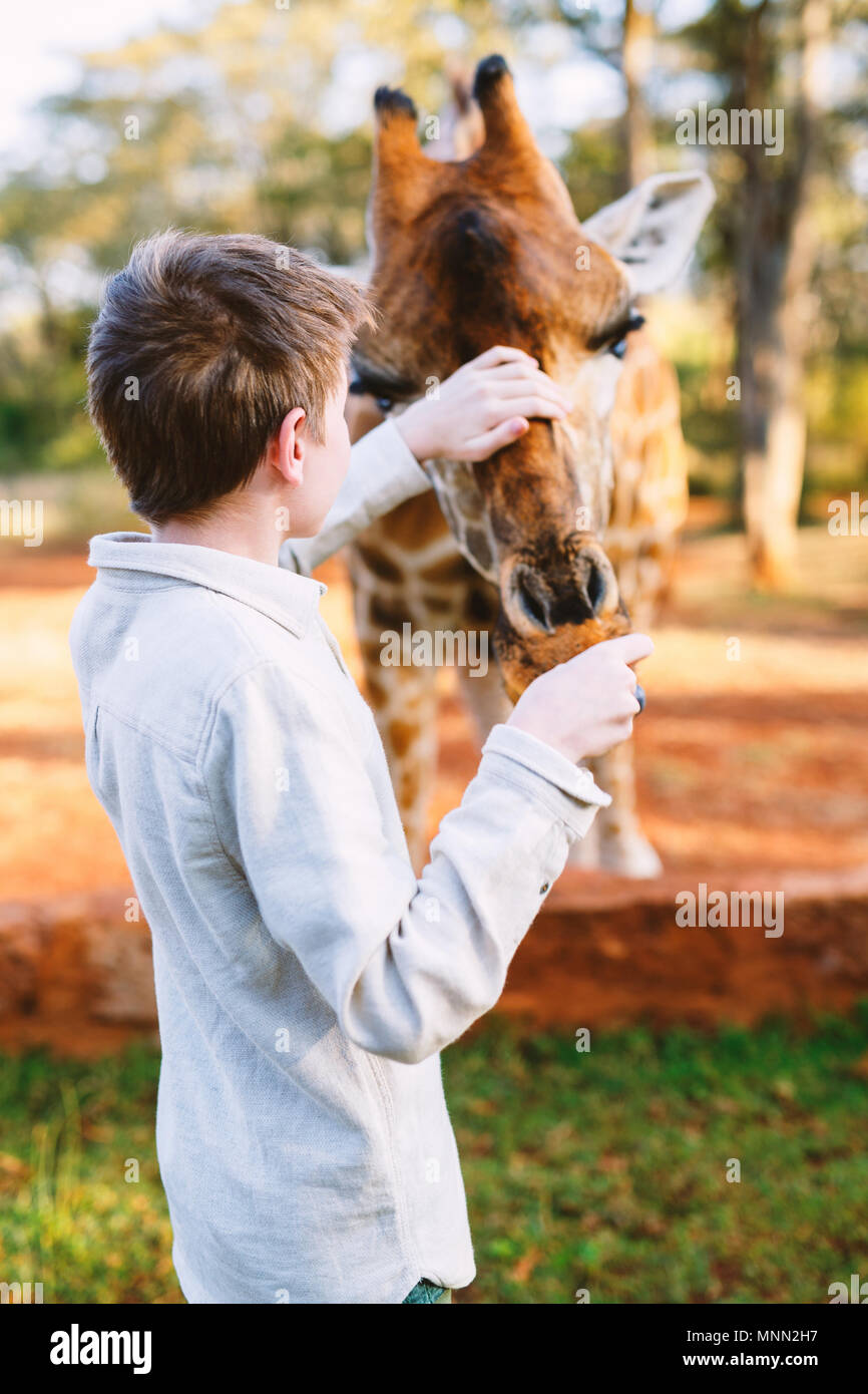 Young teenage boy feeding giraffes in Africa Stock Photo - Alamy