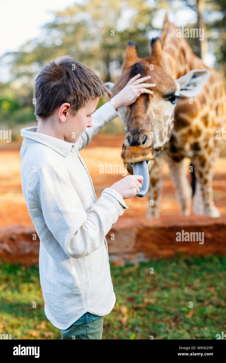 Young teenage boy feeding giraffes in Africa Stock Photo - Alamy