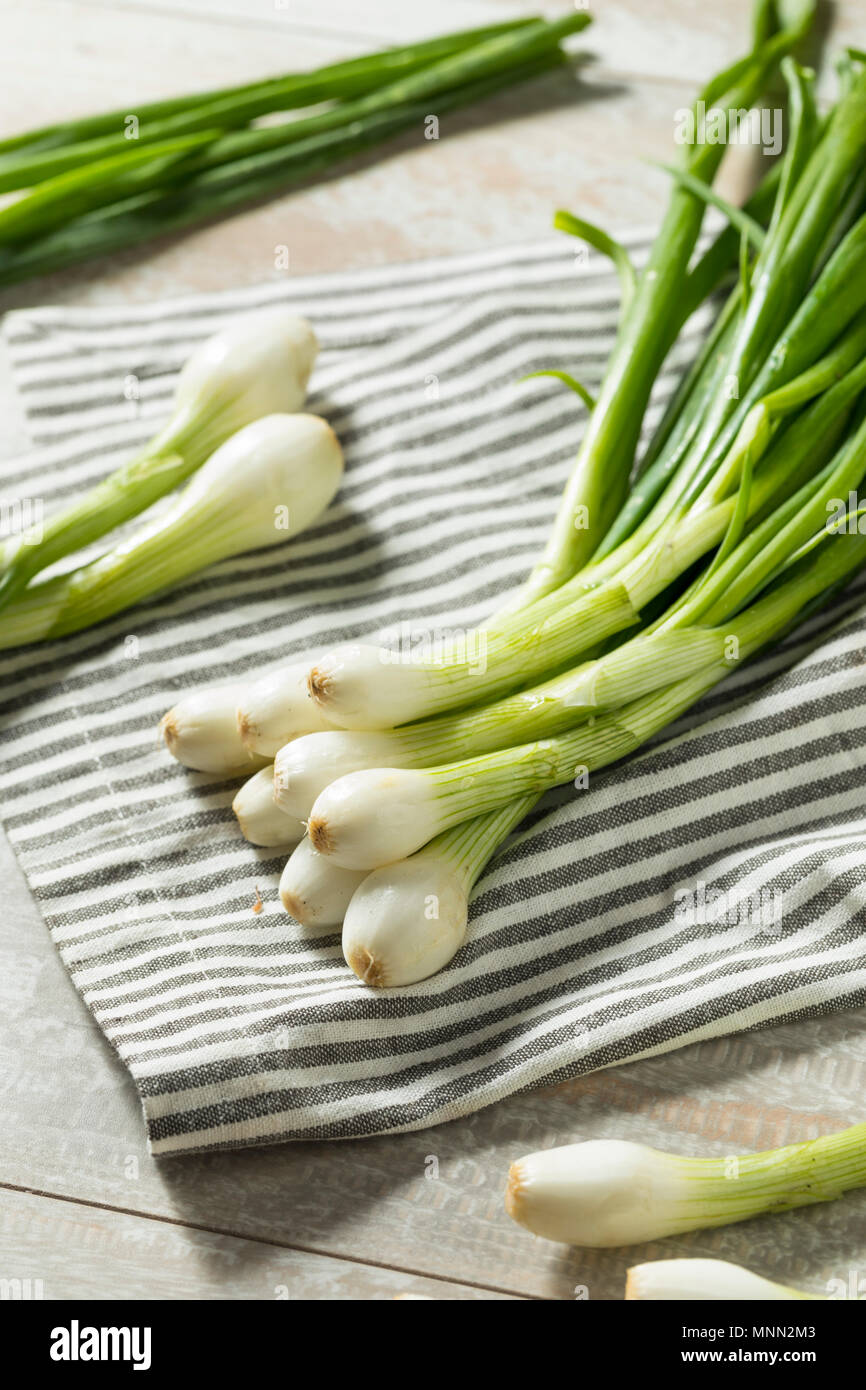Group of spring onions hi-res stock photography and images - Alamy
