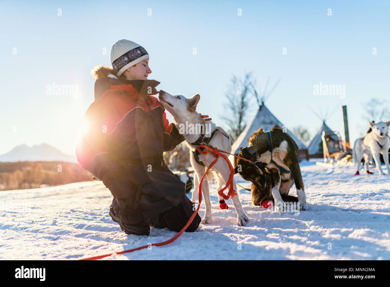 Teen boy with family and dog hi-res stock photography and images - Alamy