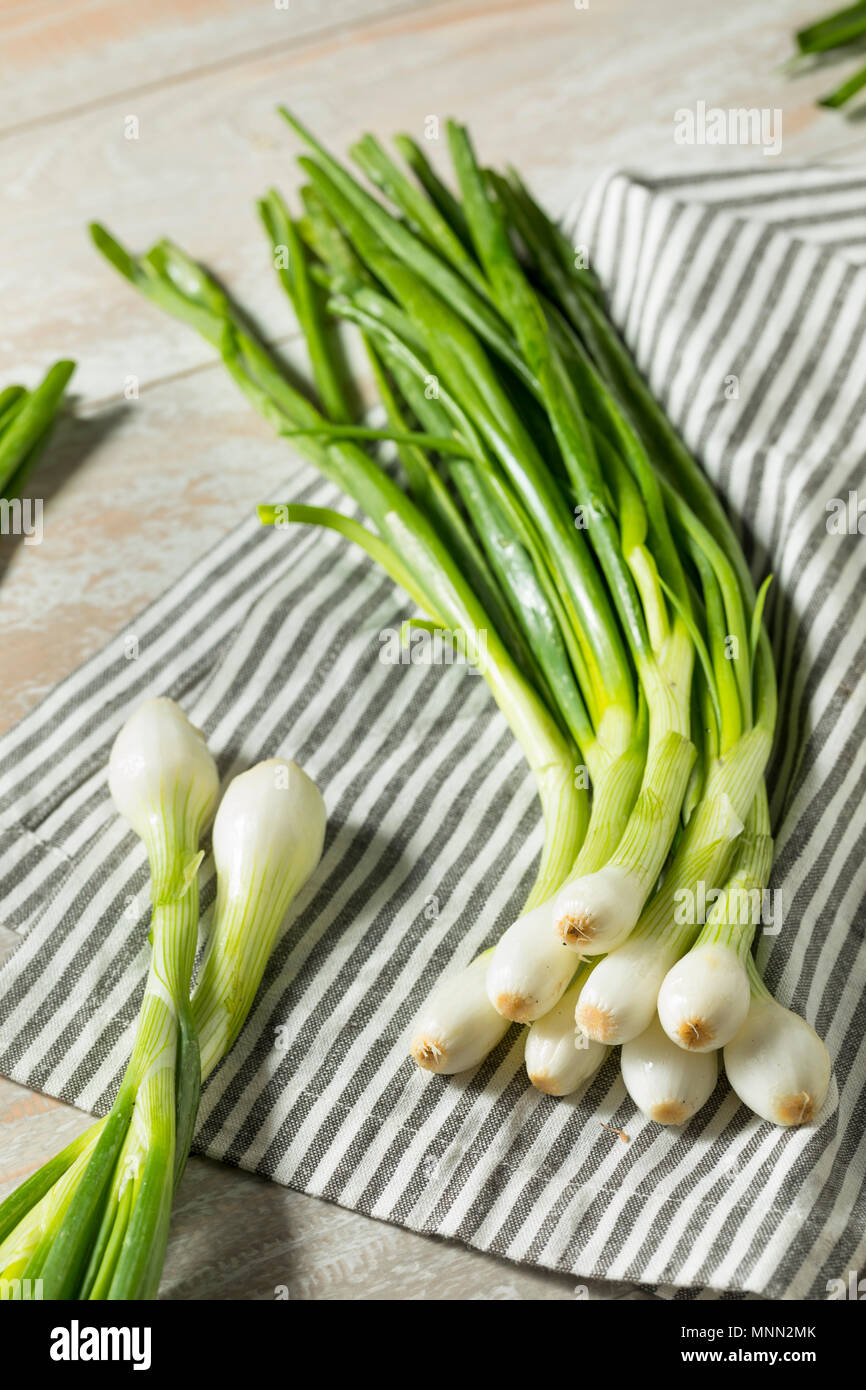 Raw Green Organic Spring Bulb Onions Ready to Cook With Stock Photo - Alamy