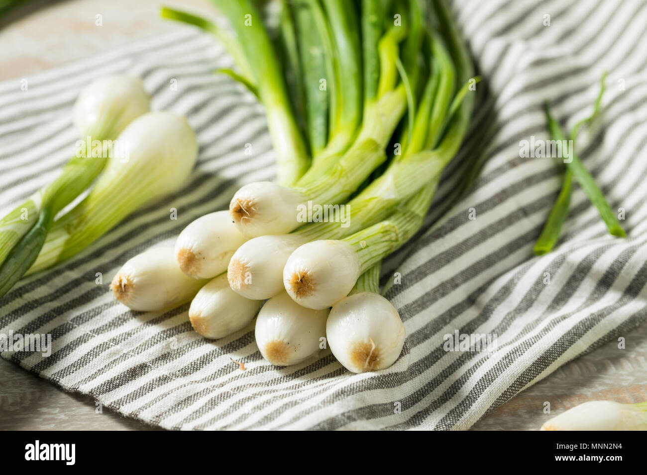 Raw Green Organic Spring Bulb Onions Ready to Cook With Stock Photo - Alamy
