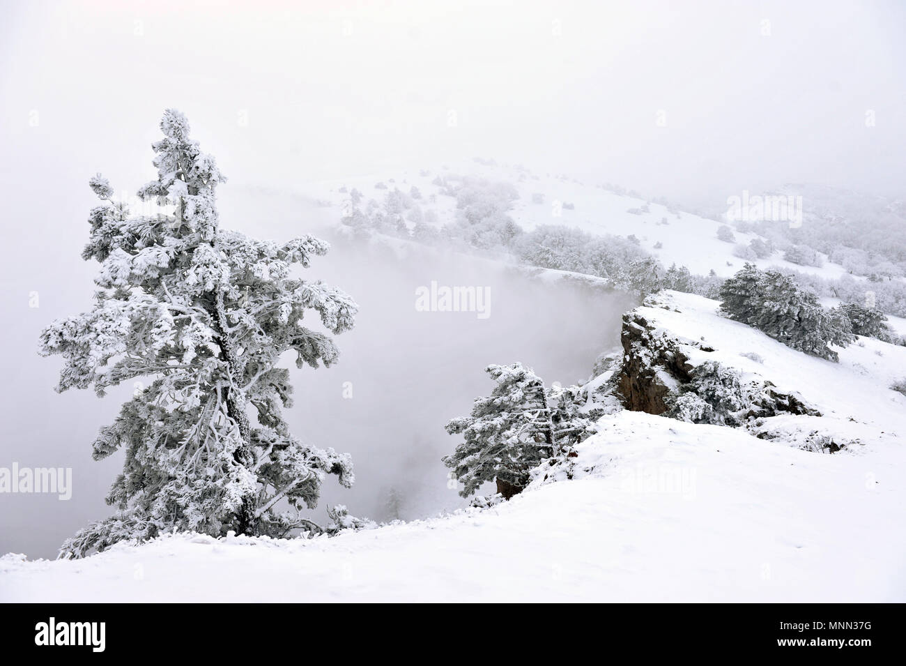 Boulders covered ice on hi-res stock photography and images - Alamy