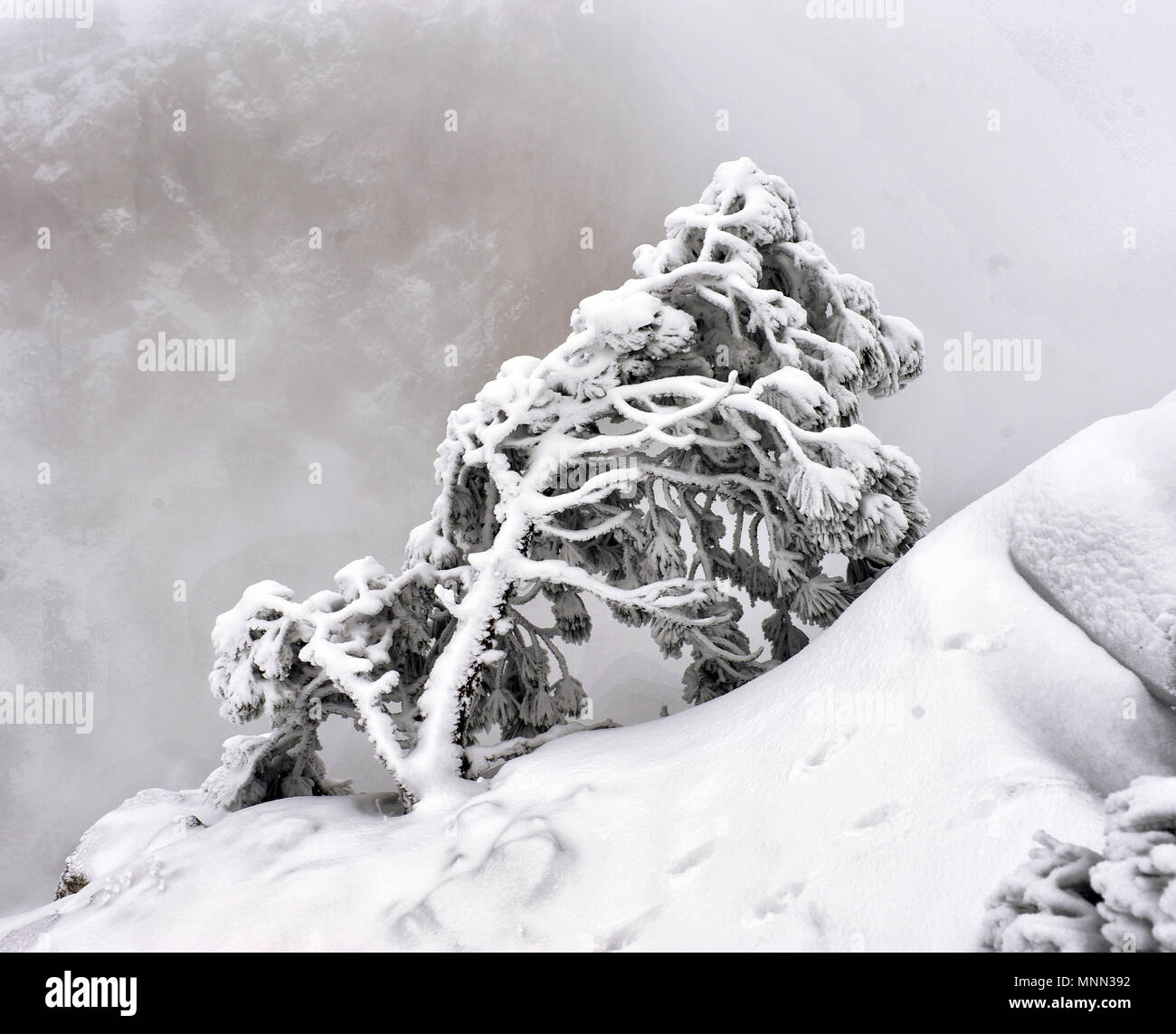 Boulders covered ice on hi-res stock photography and images - Alamy