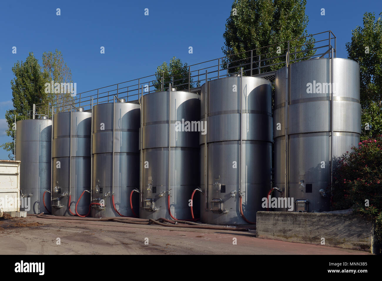 Stainless steel wine vats in a row inside the winery Stock Photo - Alamy