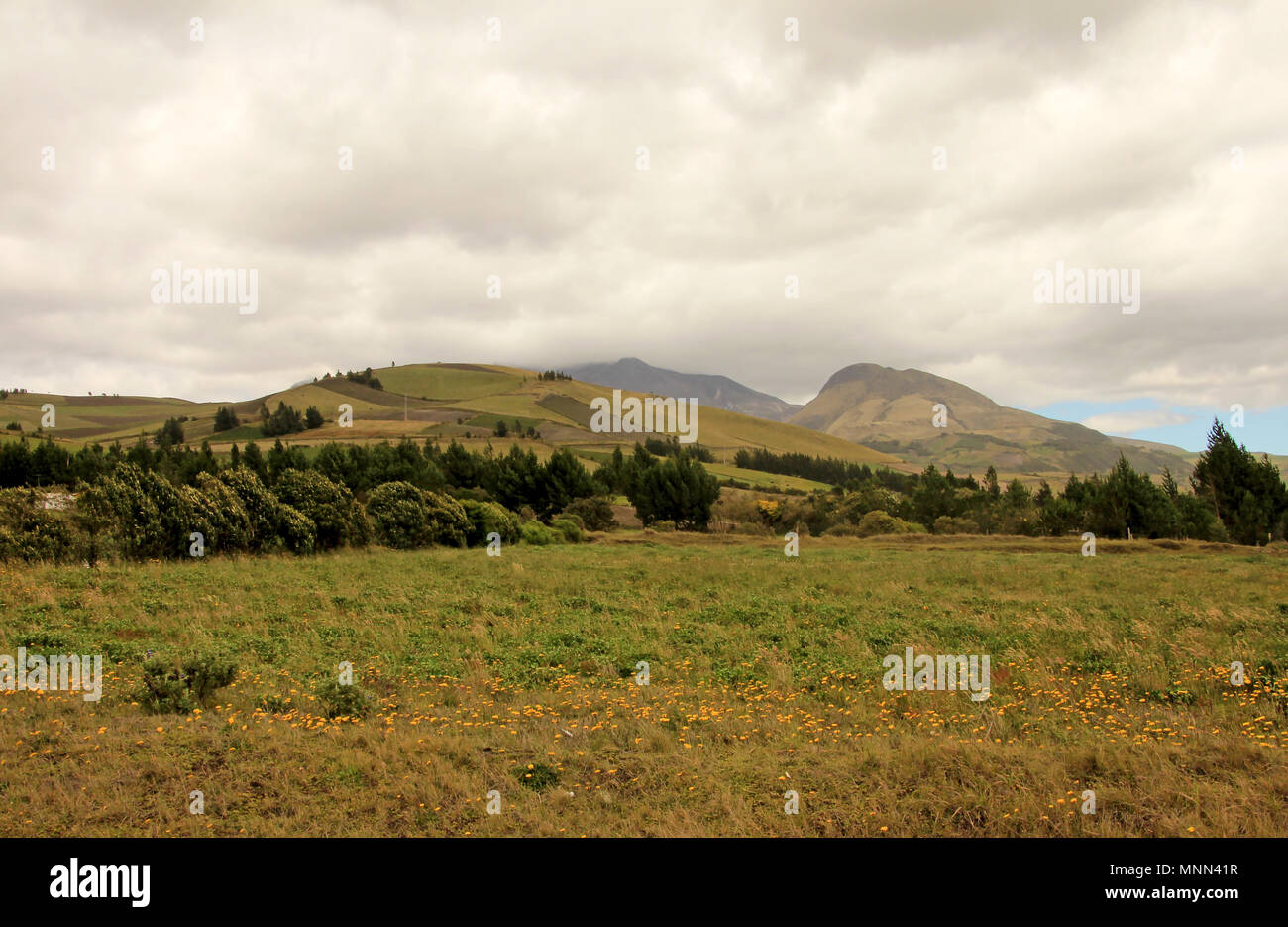 Agriculture and high altitude farming in ecuadorian andes, Ecuador ...