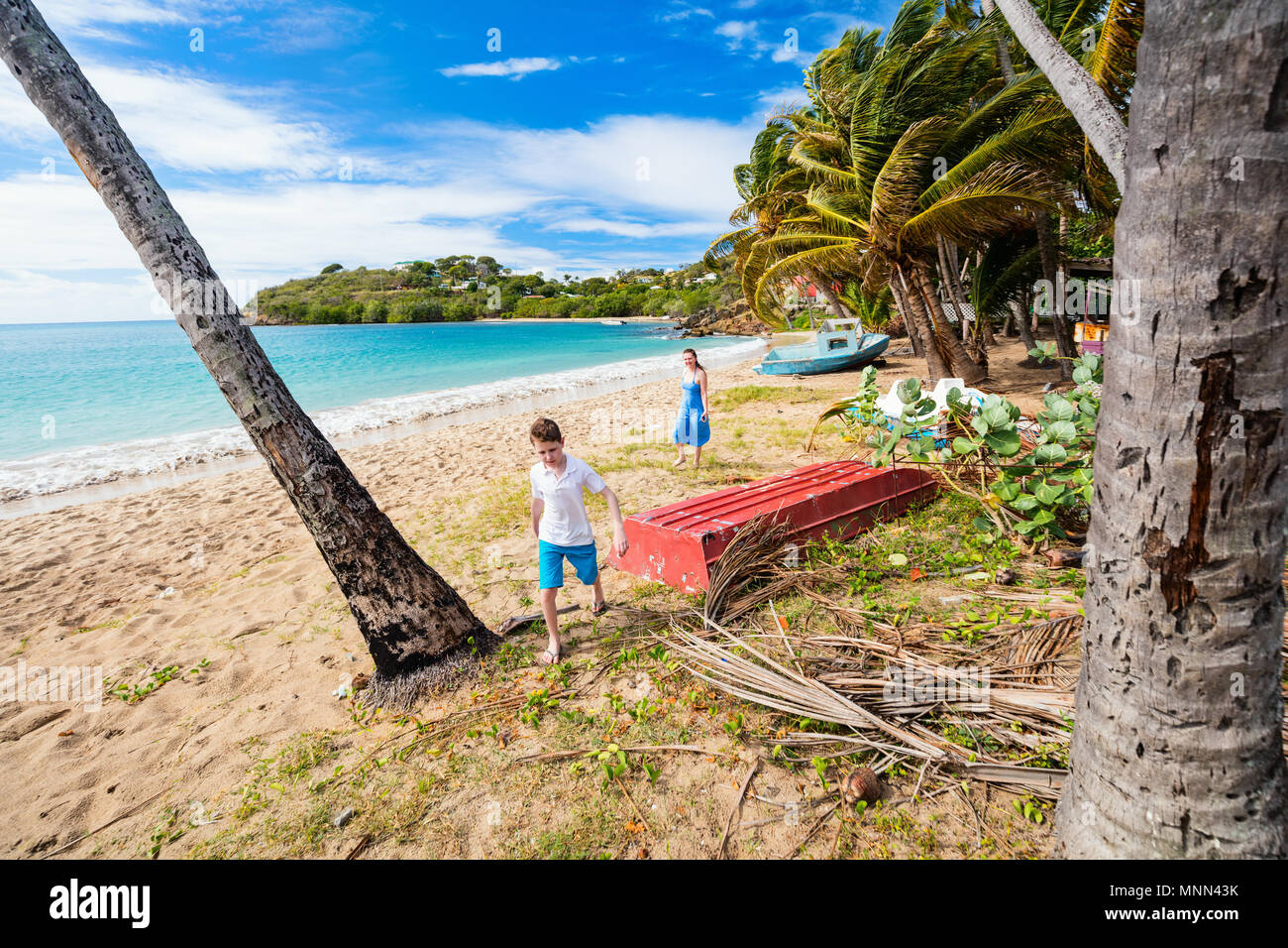 Idyllic tropical Carlisle bay beach with white sand, turquoise ocean ...