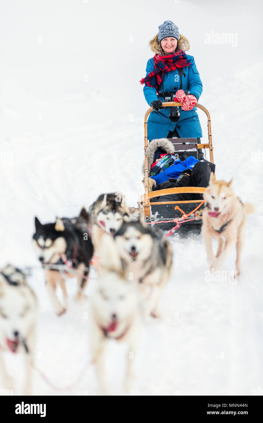 Husky dogs are pulling sledge with family at winter forest in Lapland ...