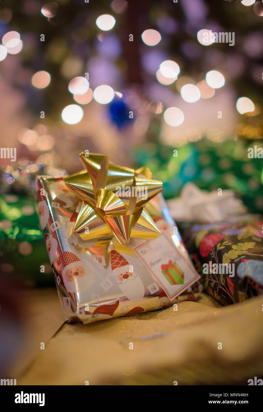 Present under the tree hi-res stock photography and images - Alamy