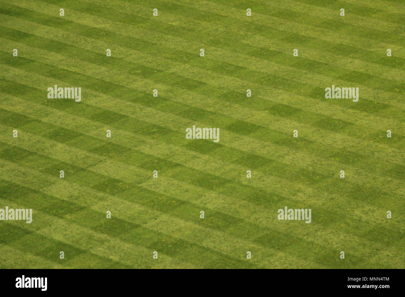 Baseball stadium outfield hi-res stock photography and images - Alamy