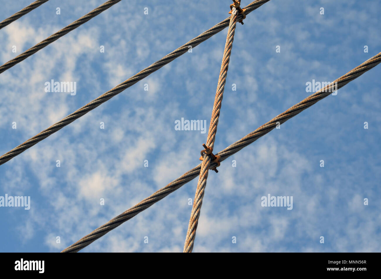 Closeup of steel cables on the iconic Brooklyn Bridge Stock Photo - Alamy